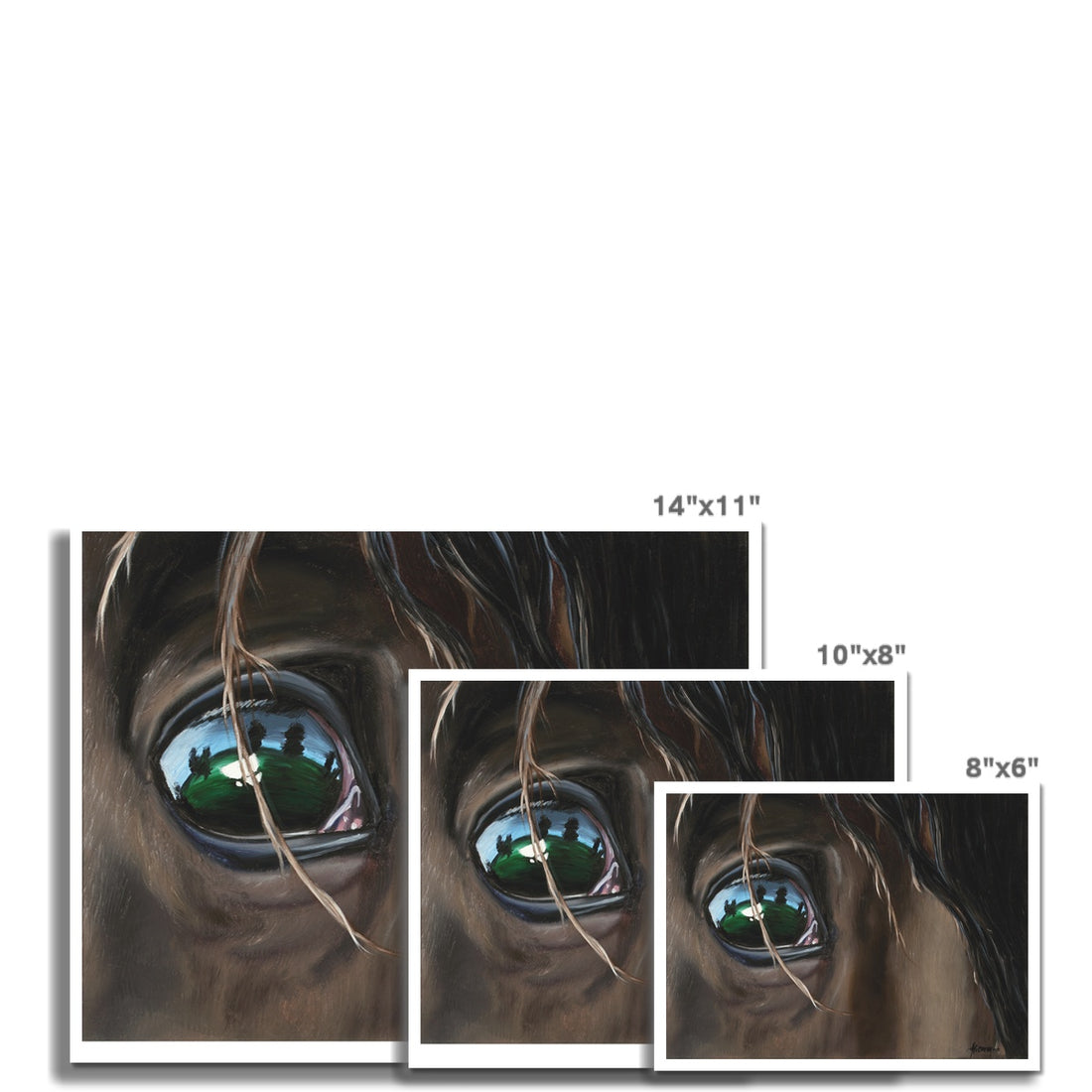 Cherokee Eye Art Print | Eye Fine Art Print | The Sage Leaf Studio